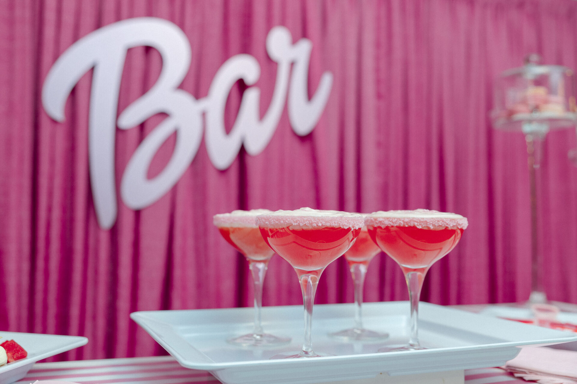 Barbie Cocktail Party A Classic Party Rental